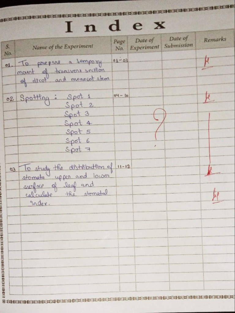 Image To PDF 2 20241225 17.48.13 | PDF