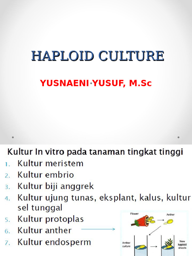 4 EMBRIOGENESIS MIKROSPORA | PDF