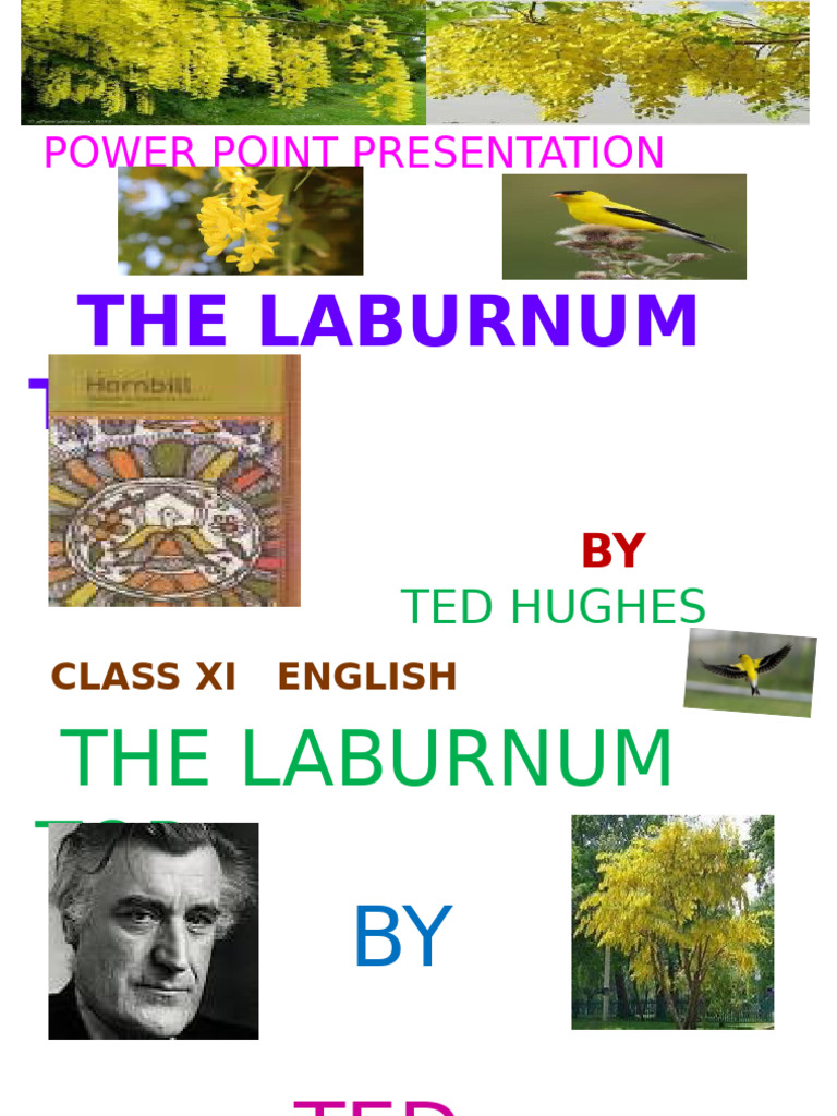 Poetic Devices in The Laburnum Top | PDF | Poetry