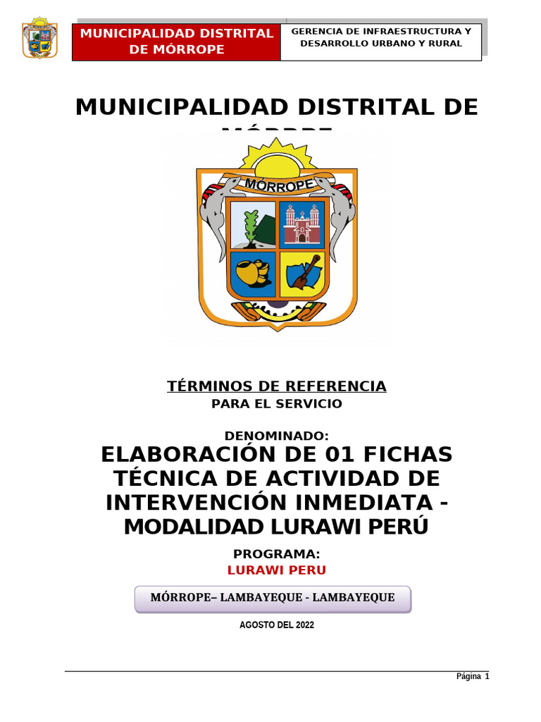 TDR Ficha Final de Actividad | PDF