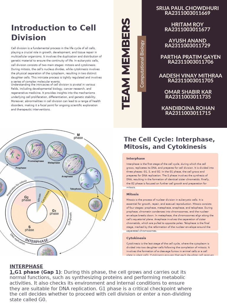Introduction To Cell Division | PDF | Mitosis | Meiosis