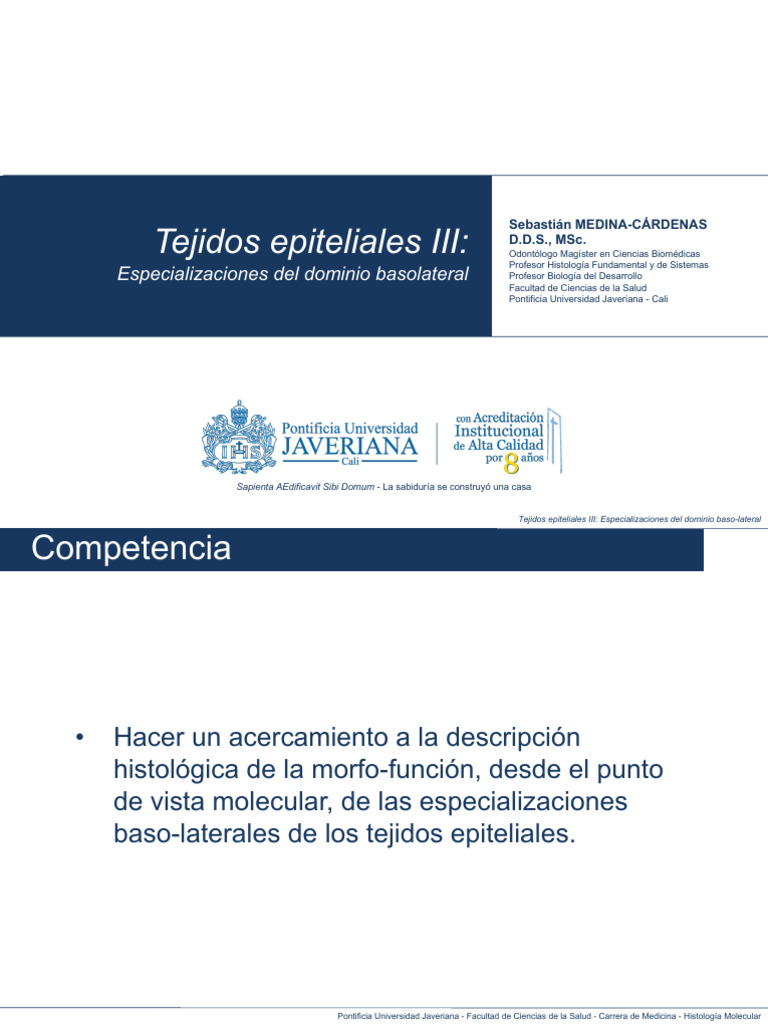 05 Tejidos Epiteliales III Especializaciones Del Dominio Basolateral ...