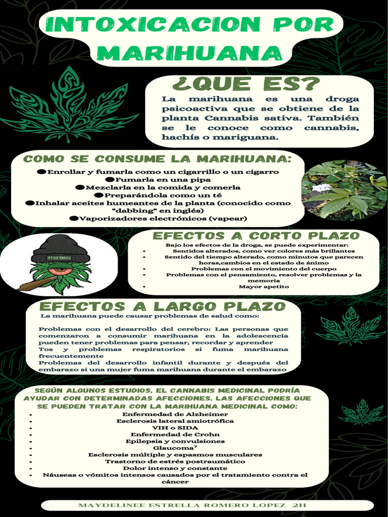 Maydelinee Estrella Romero Lopez 2.h | PDF | Cannabis (Droga ...