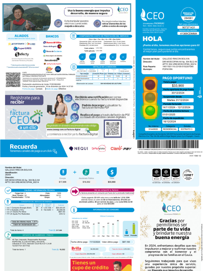 Recibo Energia Luisa | PDF