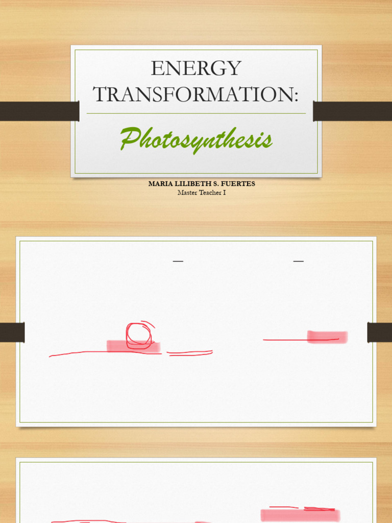 2. Energy Transformation. Photosynthesis Overview | PDF ...