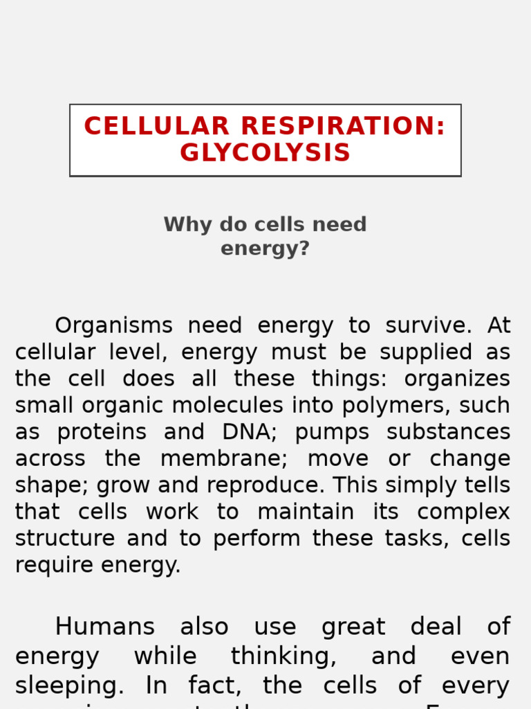 Cellular Respiration 1 | PDF | Glycolysis | Cellular Respiration