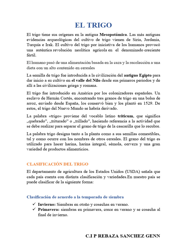 El Trigo - Chef Genn Rebaza | PDF | Trigo | Panes