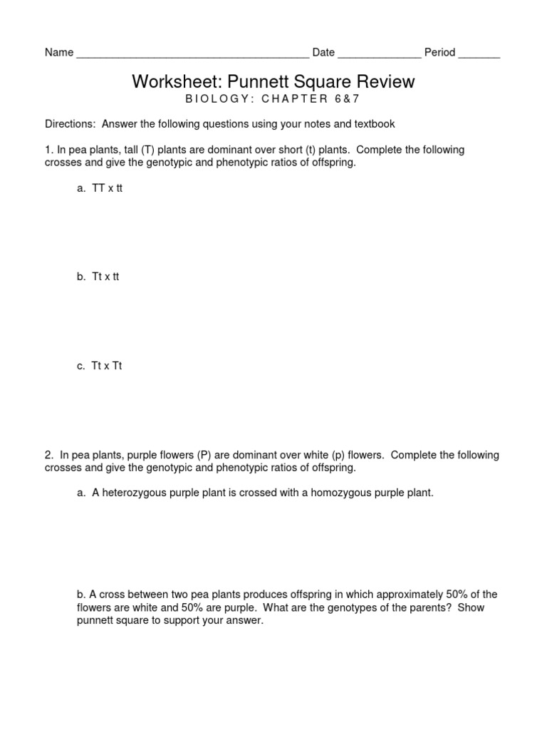 Worksheet Punnett Square Review 2010 | PDF | Dominance (Genetics ...