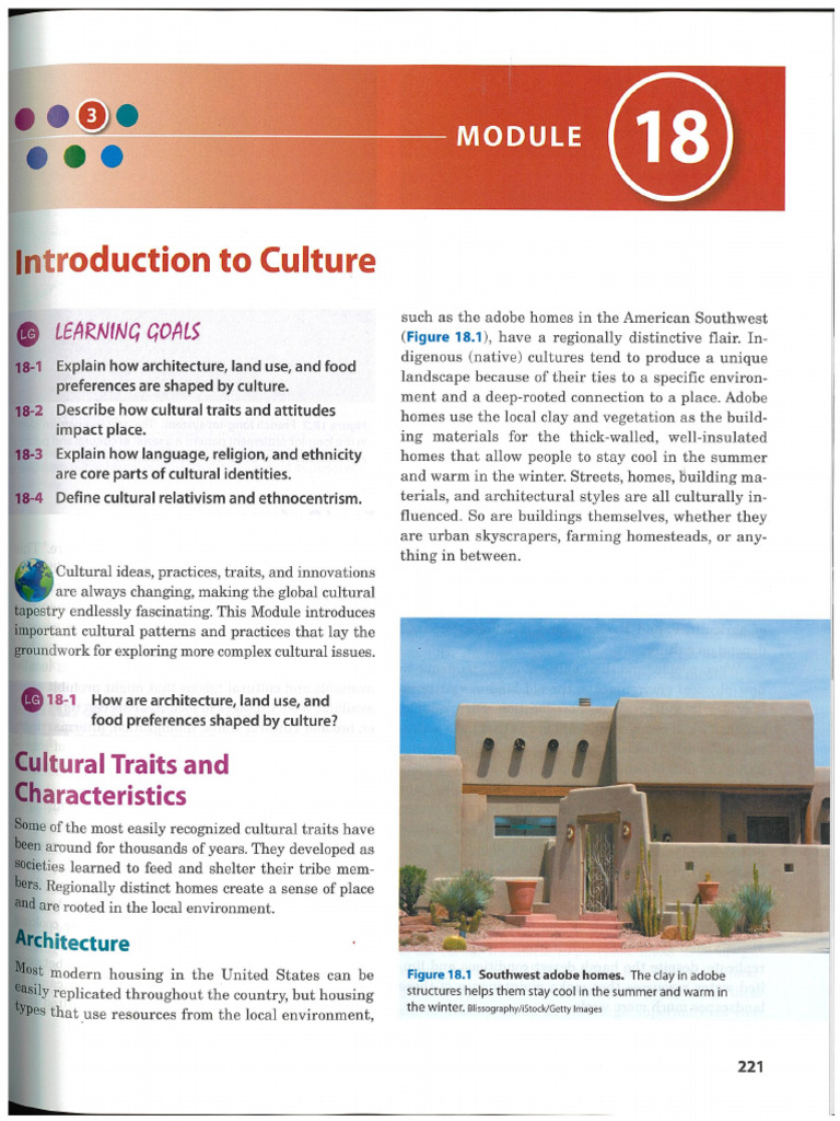 Culture Unit Section 1 | PDF