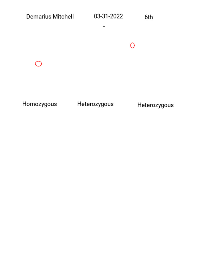 Demarius Mitchell - Genetics Problems Worksheet 1 | PDF | Dominance ...