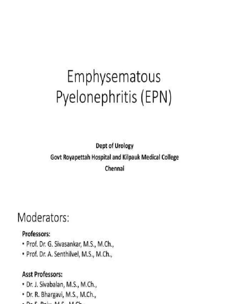 Emphysematous Pyelonephritis | PDF