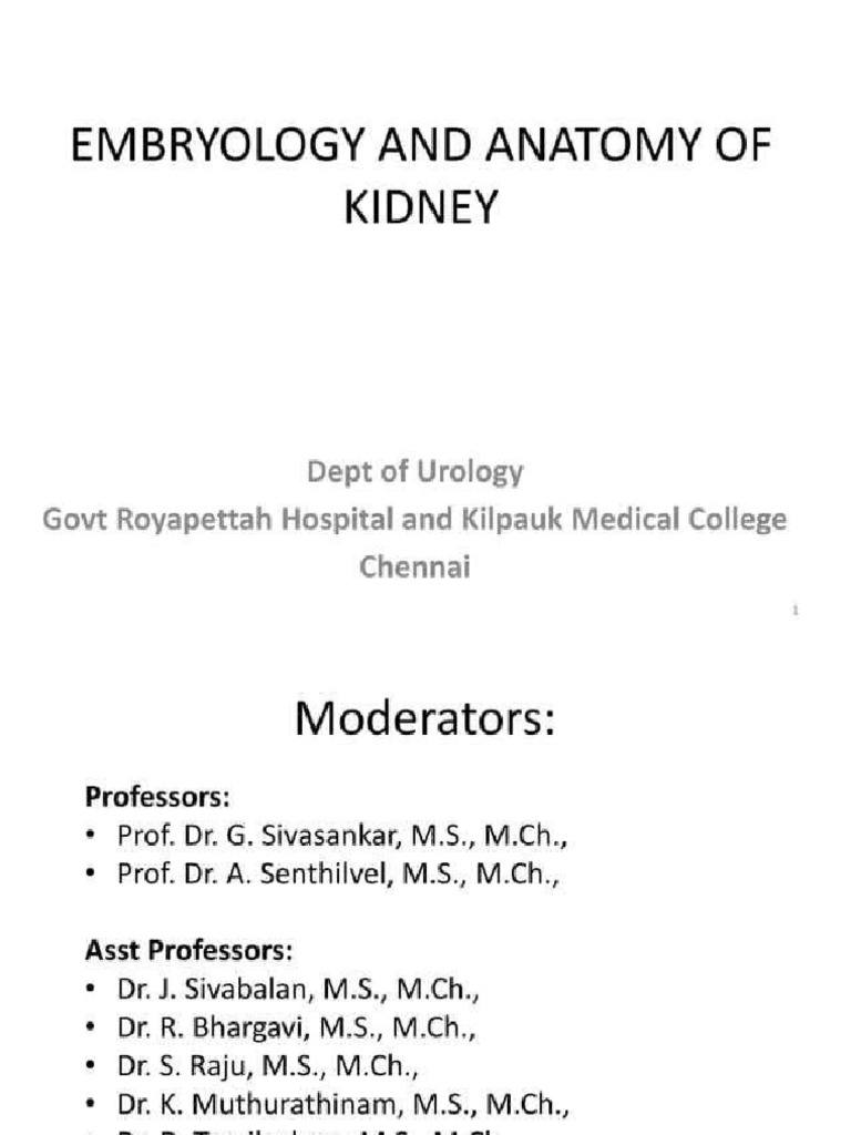 EMBRYOLOGY AND ANATOMY OF KIDNEY | PDF