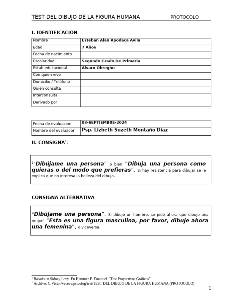 Protocolo Test Dibujo Figura Humana | PDF