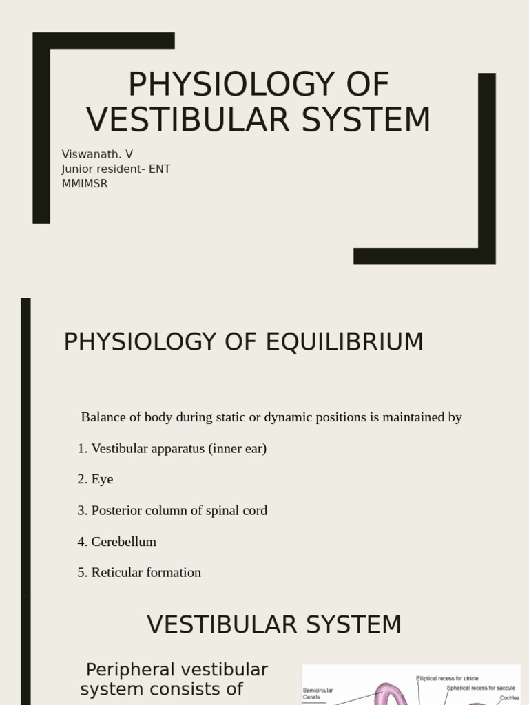 Physiology of Balance | PDF | Vestibular System | Ear