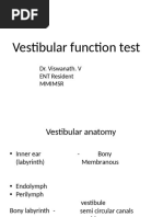 VNG Norms and Testing Guidelines | PDF