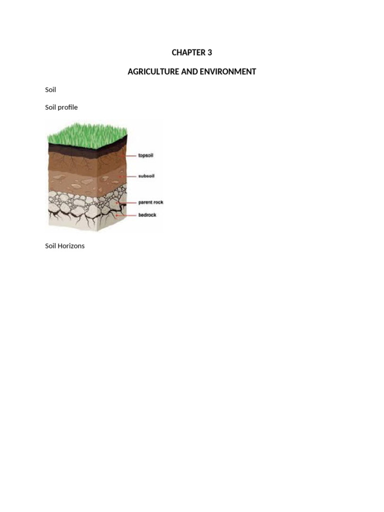 CHAPTER 3 Agriculture and Environment | PDF | Agriculture | Soil