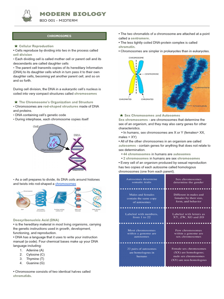 Biology Reviewer (Midterm) | PDF | Meiosis | Mitosis