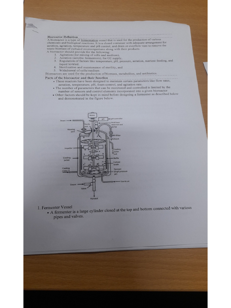 Bioreactor Pdf