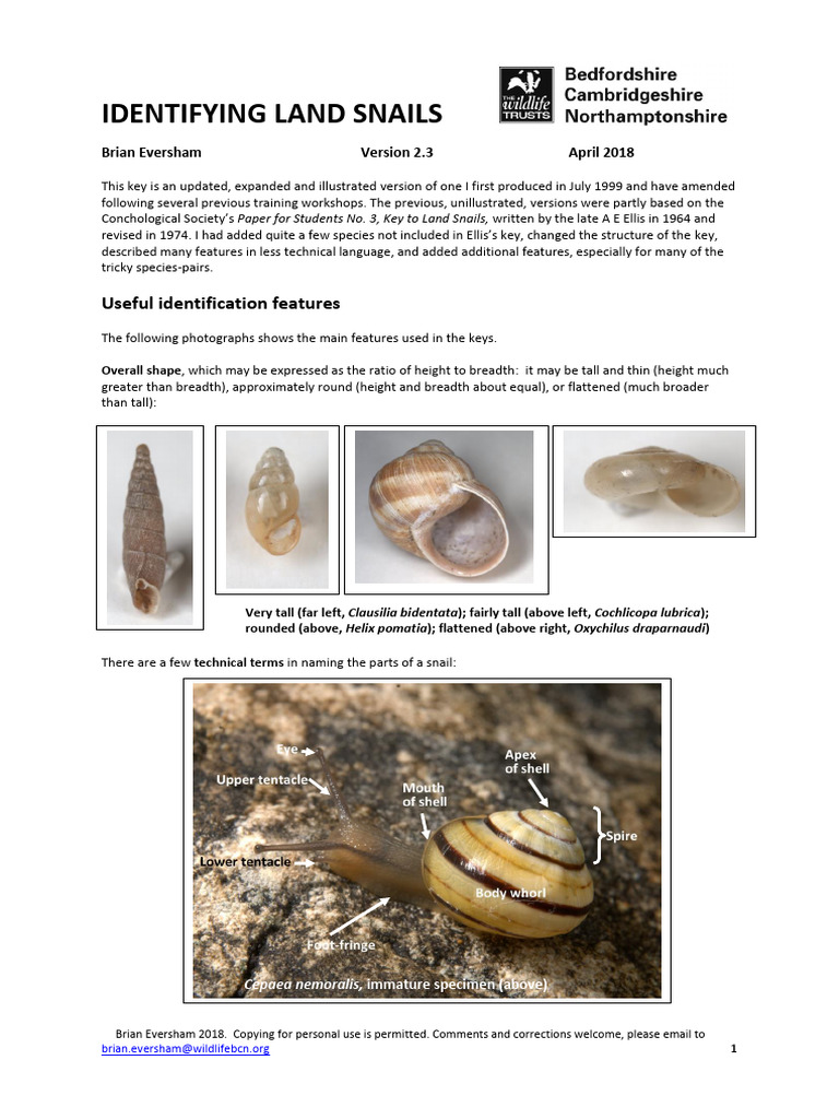 Land Snails Key V 2.3 Iv2018 Illustrated | PDF | Molluscs