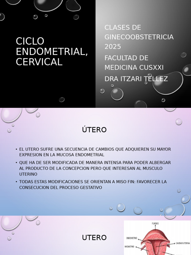 Ciclo Endometrial J Cervical y Mamario | PDF | Pecho | Epitelio