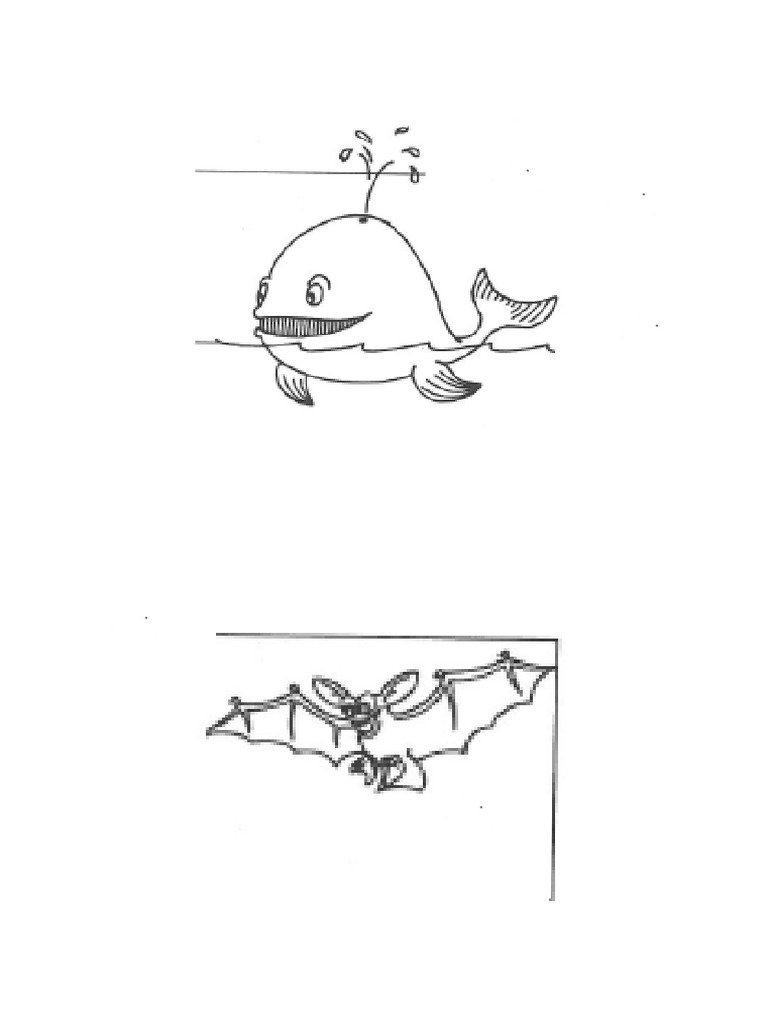 TK9 Obrazki PDF | PDF