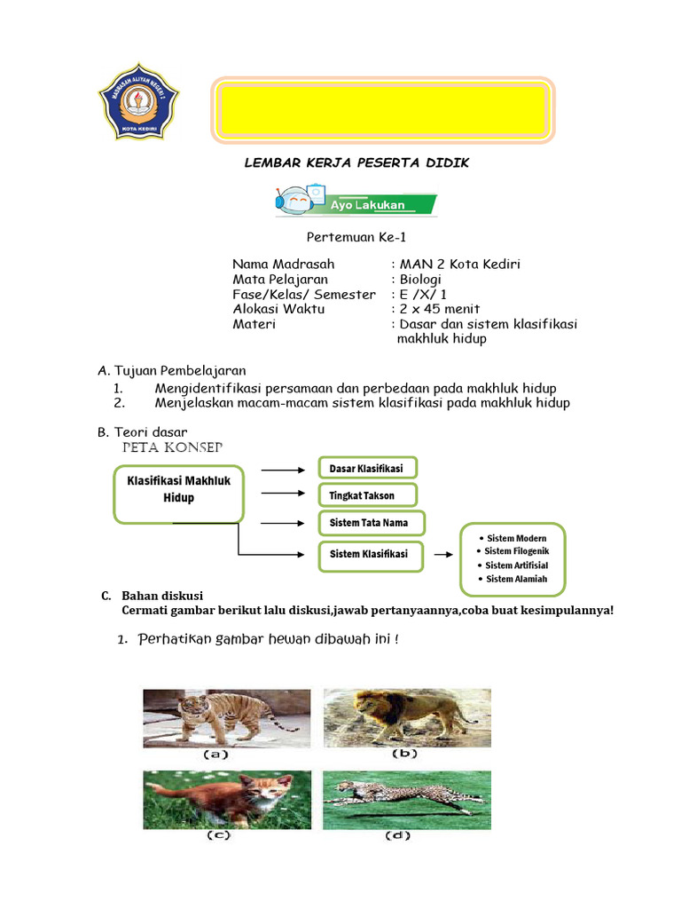 Modul Klasifikasi | PDF