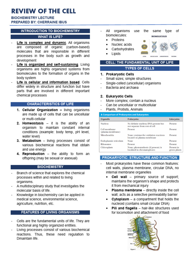 BIOCHEM LEC CELL | PDF | Cell (Biology) | Endoplasmic Reticulum