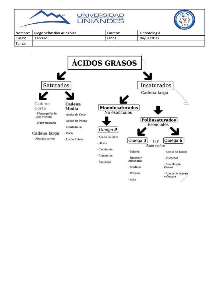 Mapa de Acidos Grasos | PDF