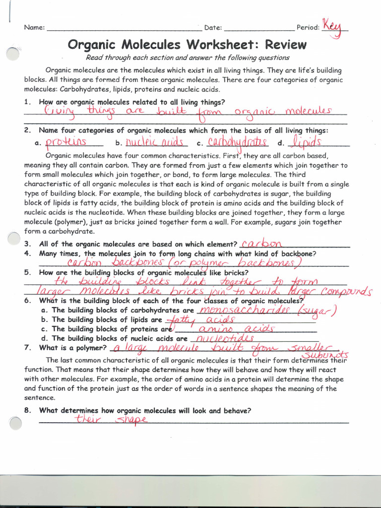 Organic Molecules Worksheet Key | PDF