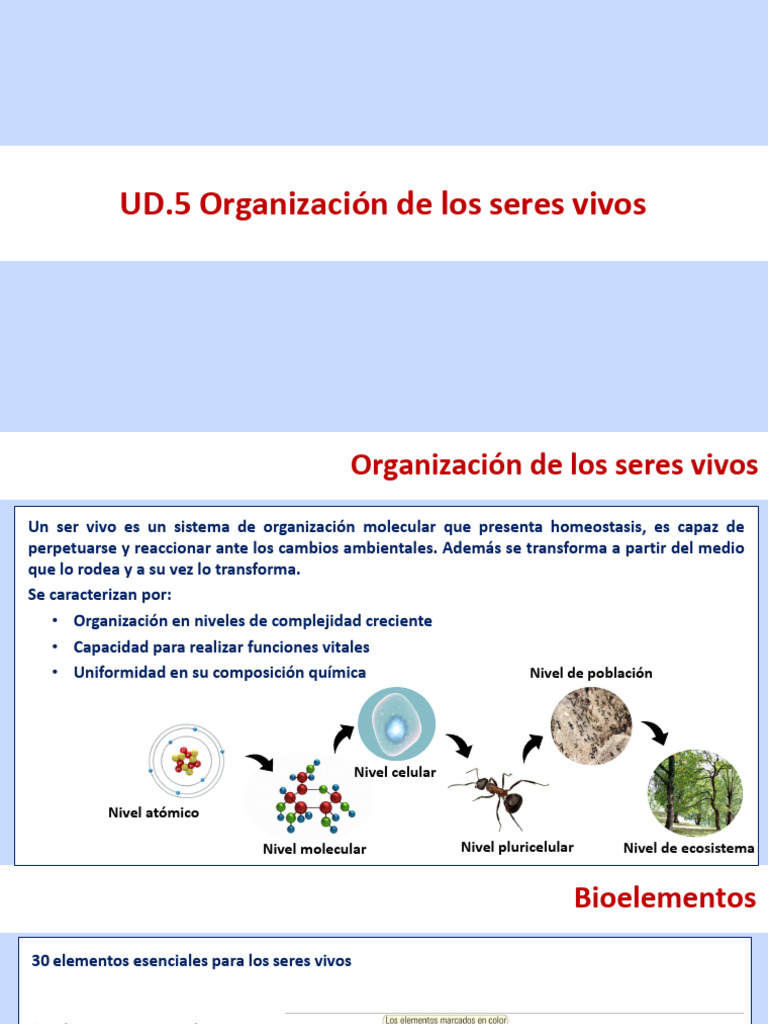 Organización de los Seres Vivos | PDF | Biología Celular) | Citoplasma