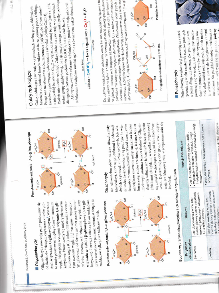 cukry proste biolgoia | PDF