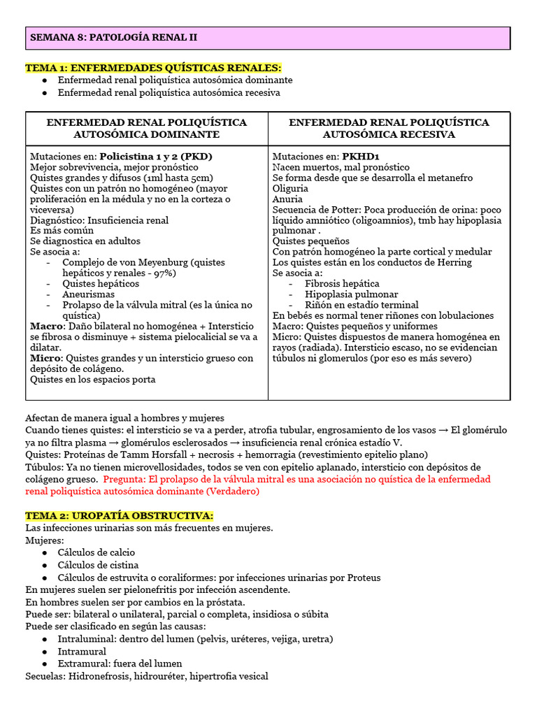 PATO 2 SEMANA 8 | PDF | Riñón | Neoplasias