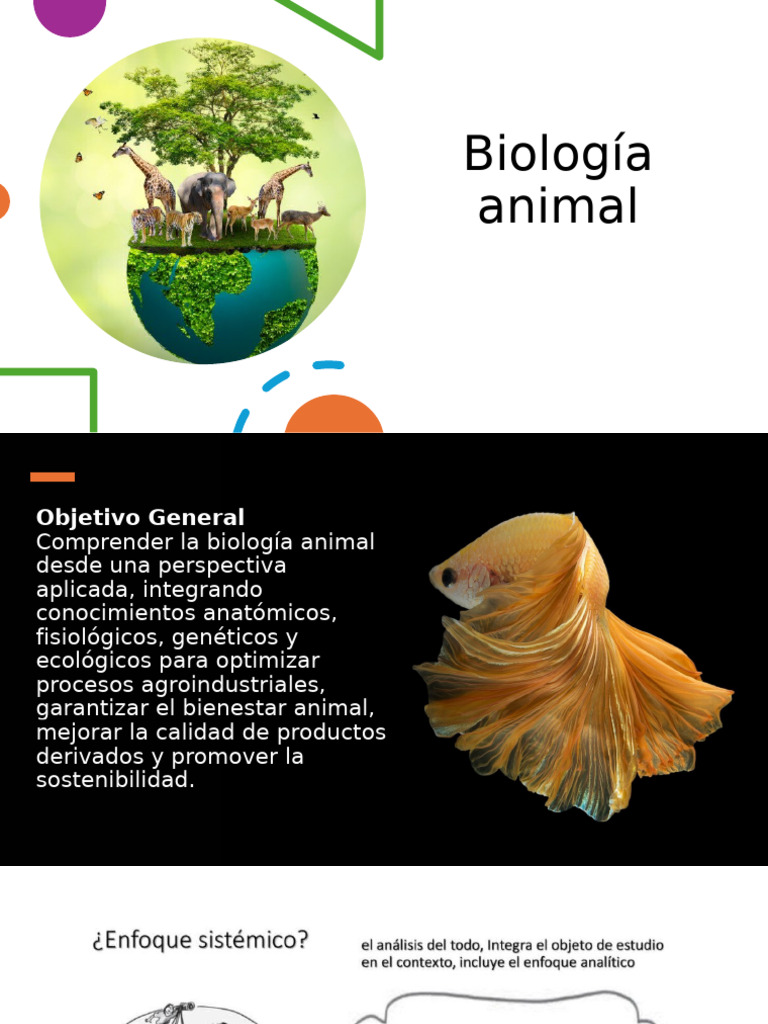 Biología Animal: Fisiología y Clasificación | PDF | Rumiante | Fisiología