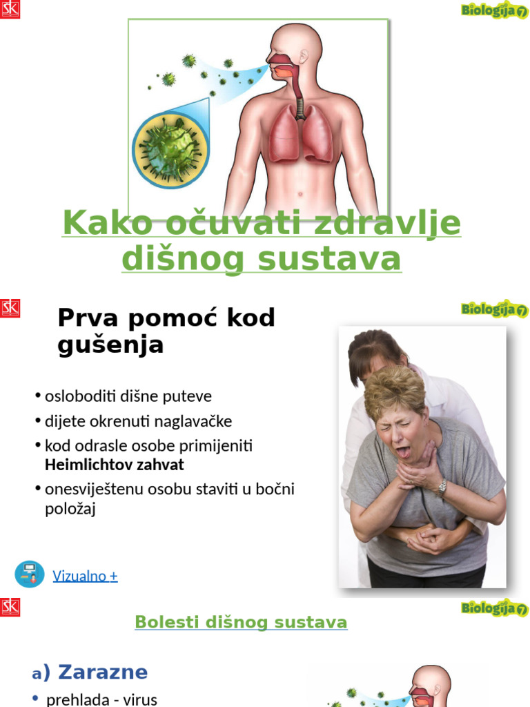 12. Kako Ocuvati Zdravlje Disnog Sustava BIOLOGIJA 7 | PDF