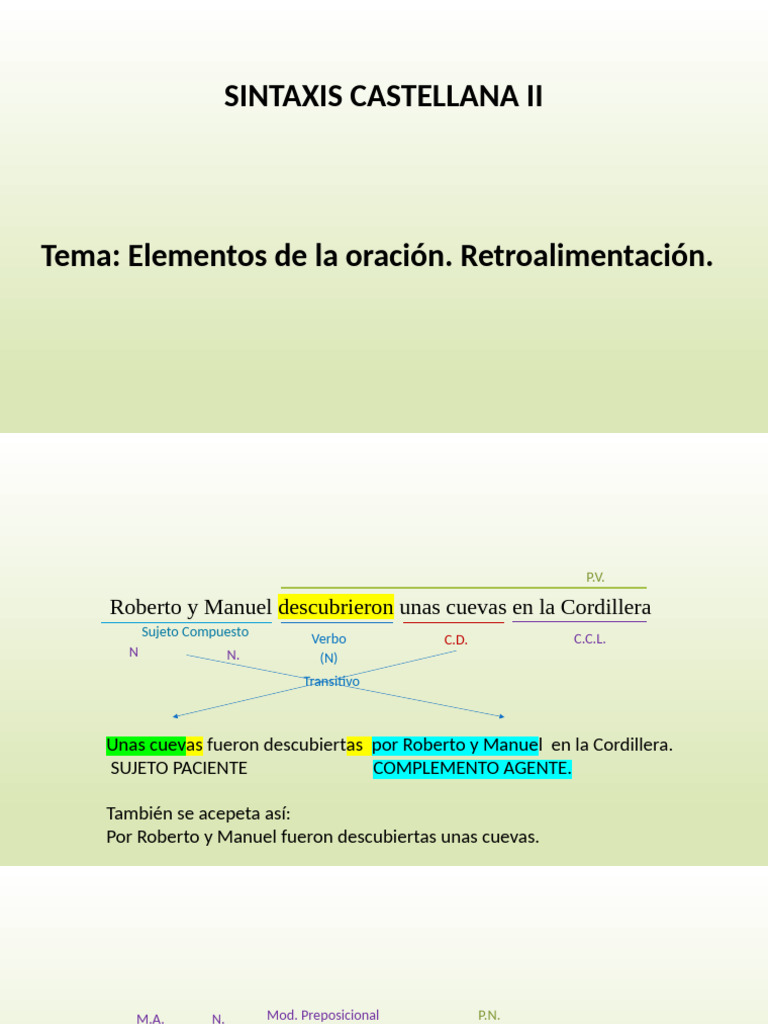 Elementos de la Sintaxis Castellana | PDF | Asunto (gramática) | Verbo