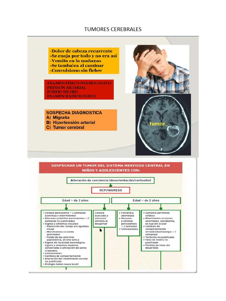 TUMORES CEREBRALES | PDF