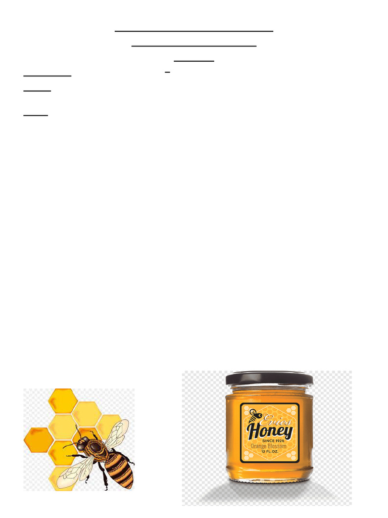 Grade 5 Advertisement Project: Fynbos Honey | PDF