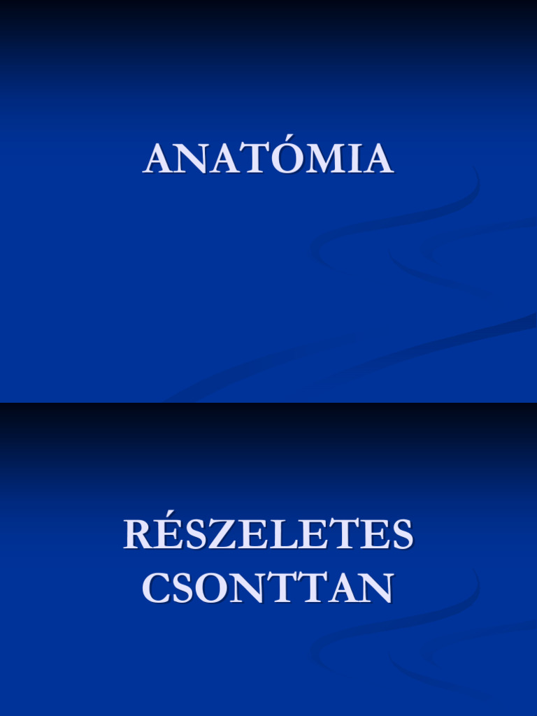 Anatómia (Részletes Csonttan) | PDF