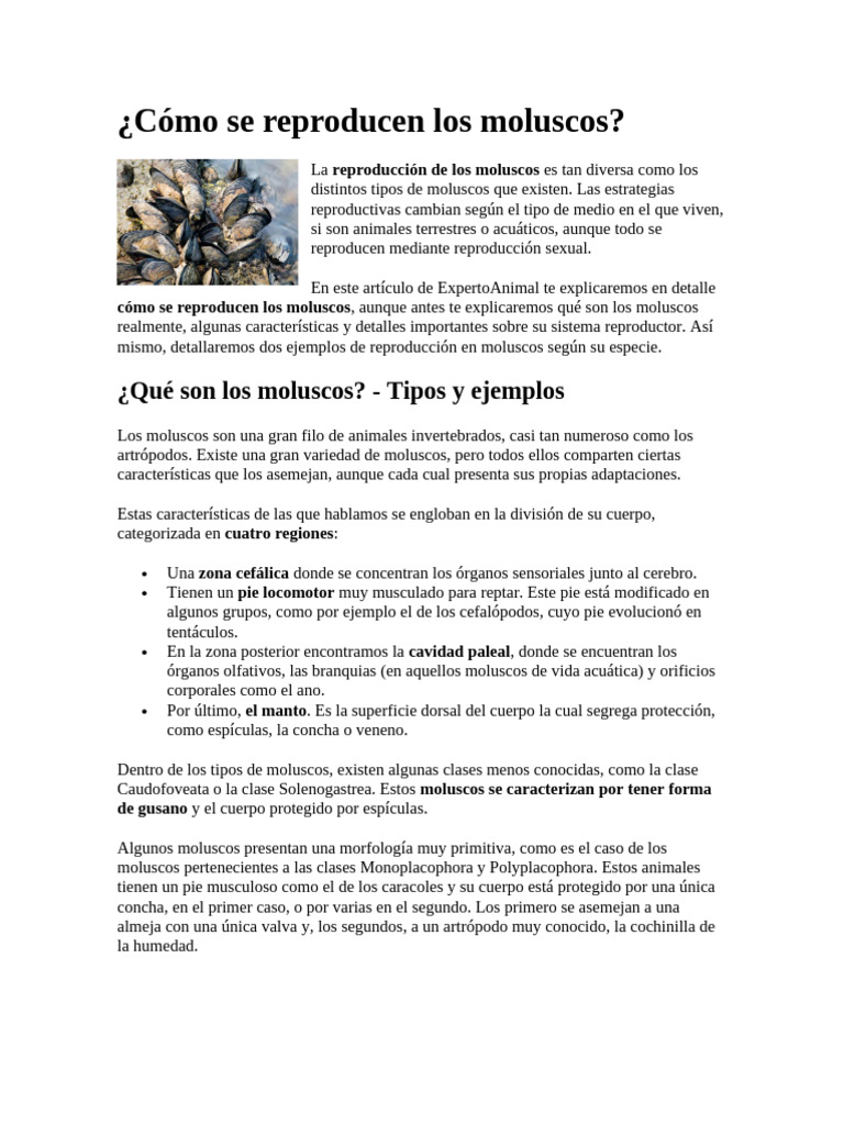 Reproducción de los Moluscos: Guía Esencial | PDF | Moluscos | Sistema ...