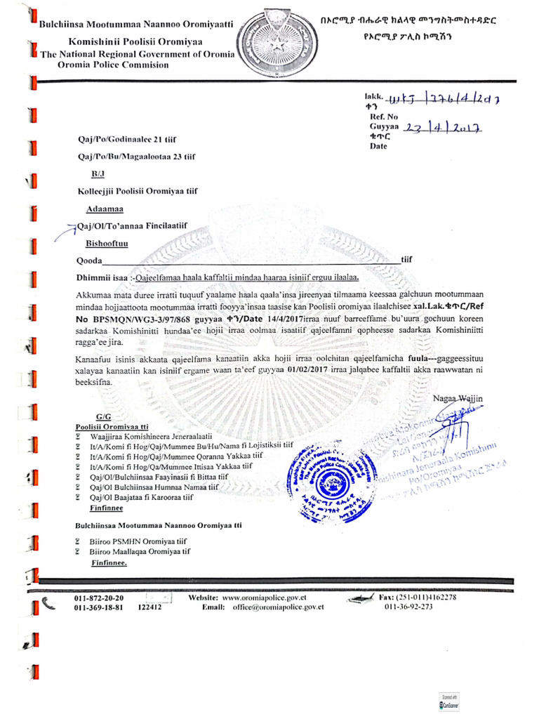 Qajeelfama Miindaa Haaraa | PDF