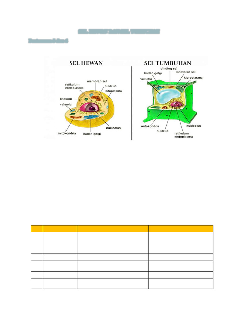 Spesialisasi Sel Tumbuhan dan Hewan | PDF