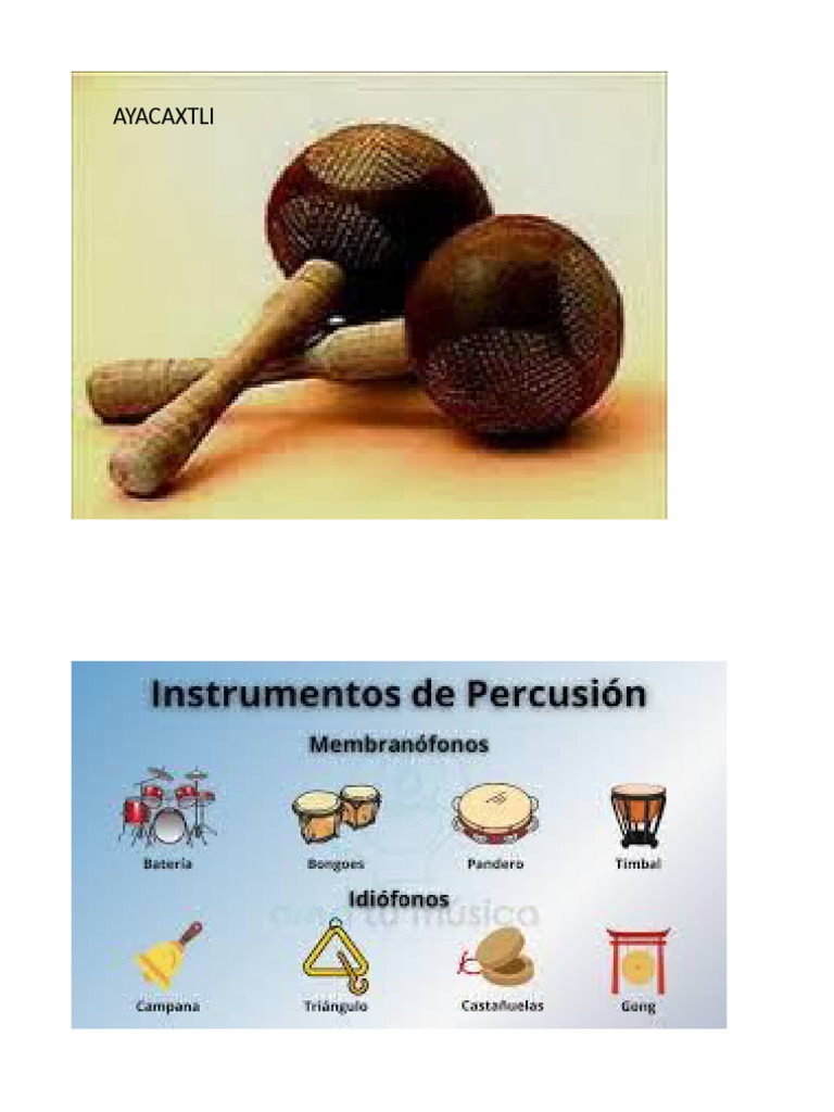INSTRUMENTOS | PDF