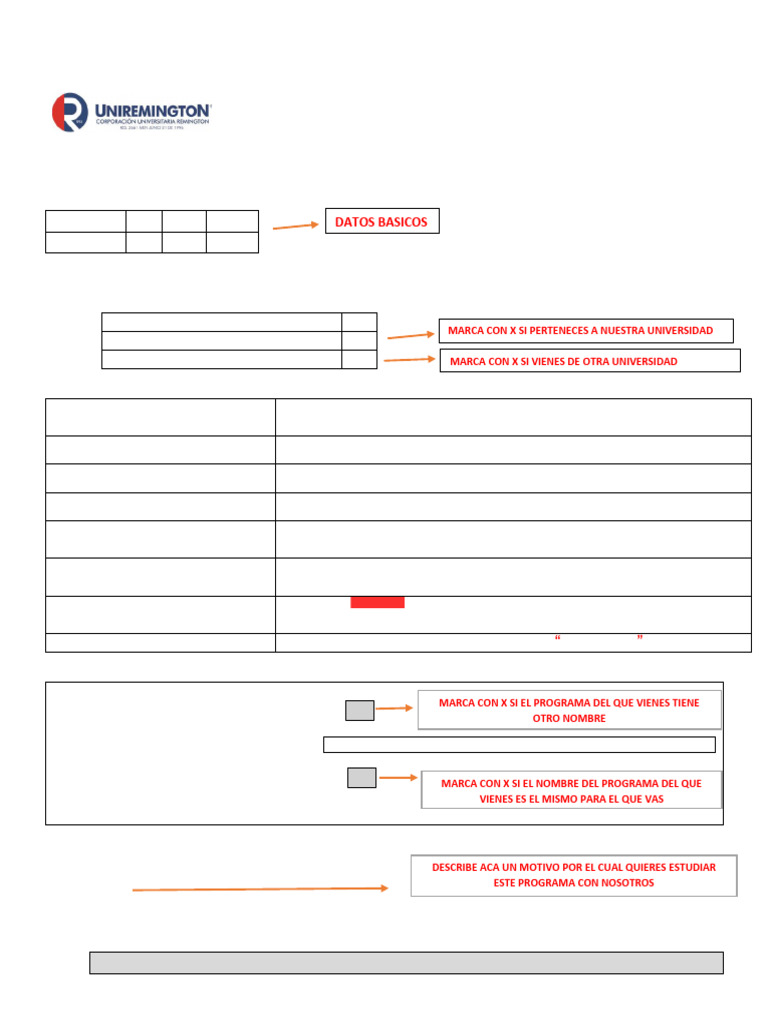 Paso A Paso Llenar Formato | PDF