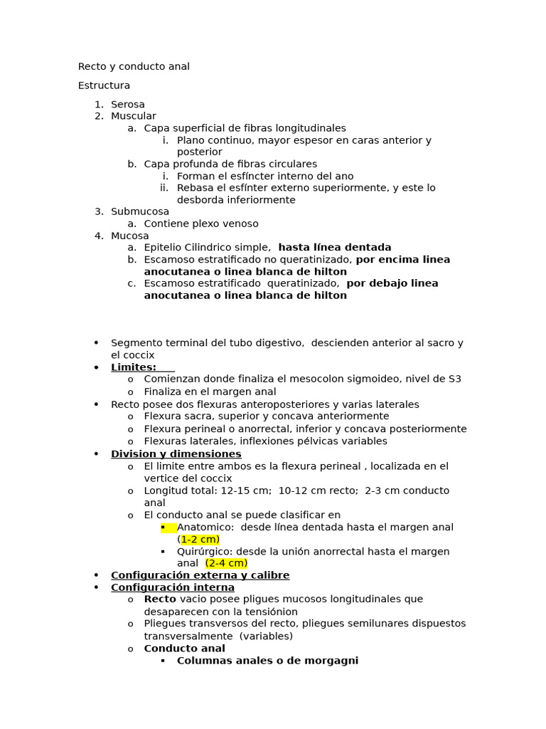 Anatomía del Recto y Conducto Anal | PDF | Recto | Vena