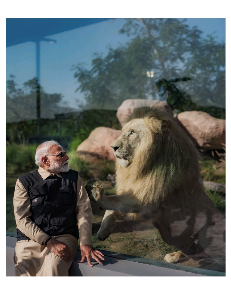 PDFGallery 20250305 225412 | PDF