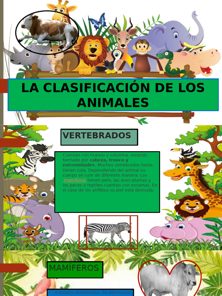 Examen de power point. Dielma | PDF | Vertebrados | Branquia