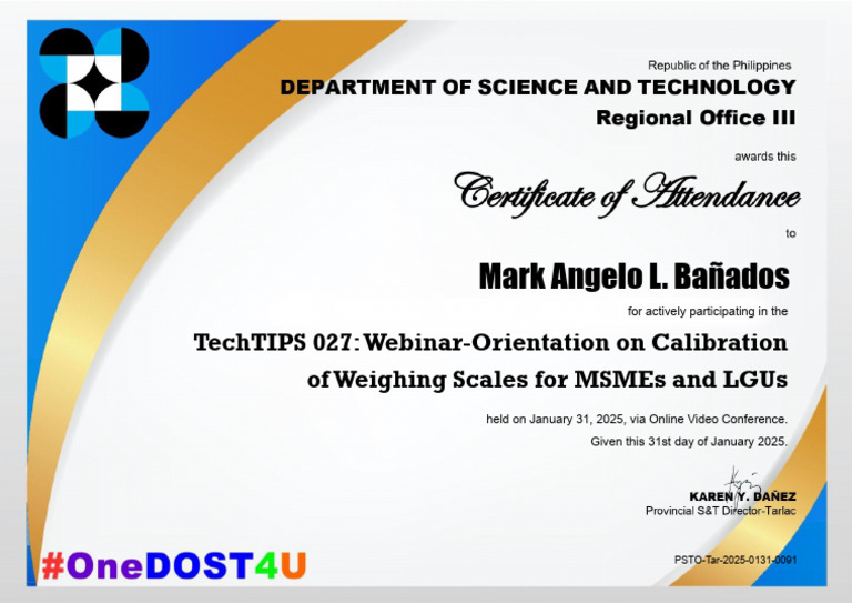TechTIPS 027 Certificate - Mark Angelo L. Bañados | PDF