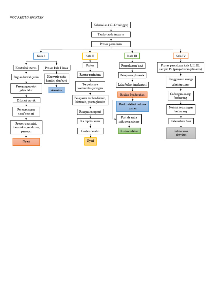 WOC INTRANATAL | PDF