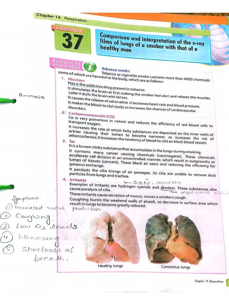 Practicals Section A | PDF