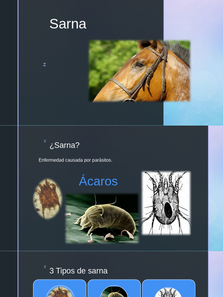 Sarna y Foliculitis en Equinos. | PDF | Especialidades Medicas ...